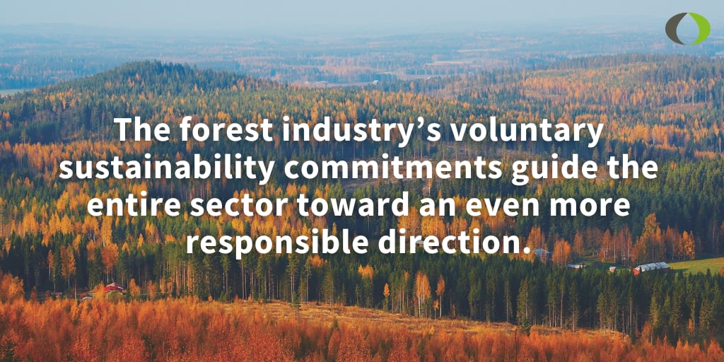 The forest industry continues its long-term sustainability work – the ...