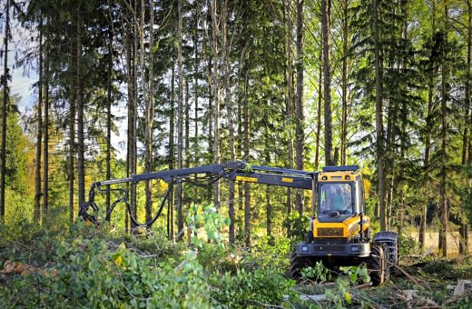 Environmental impact data of Finnish forest management now available ...